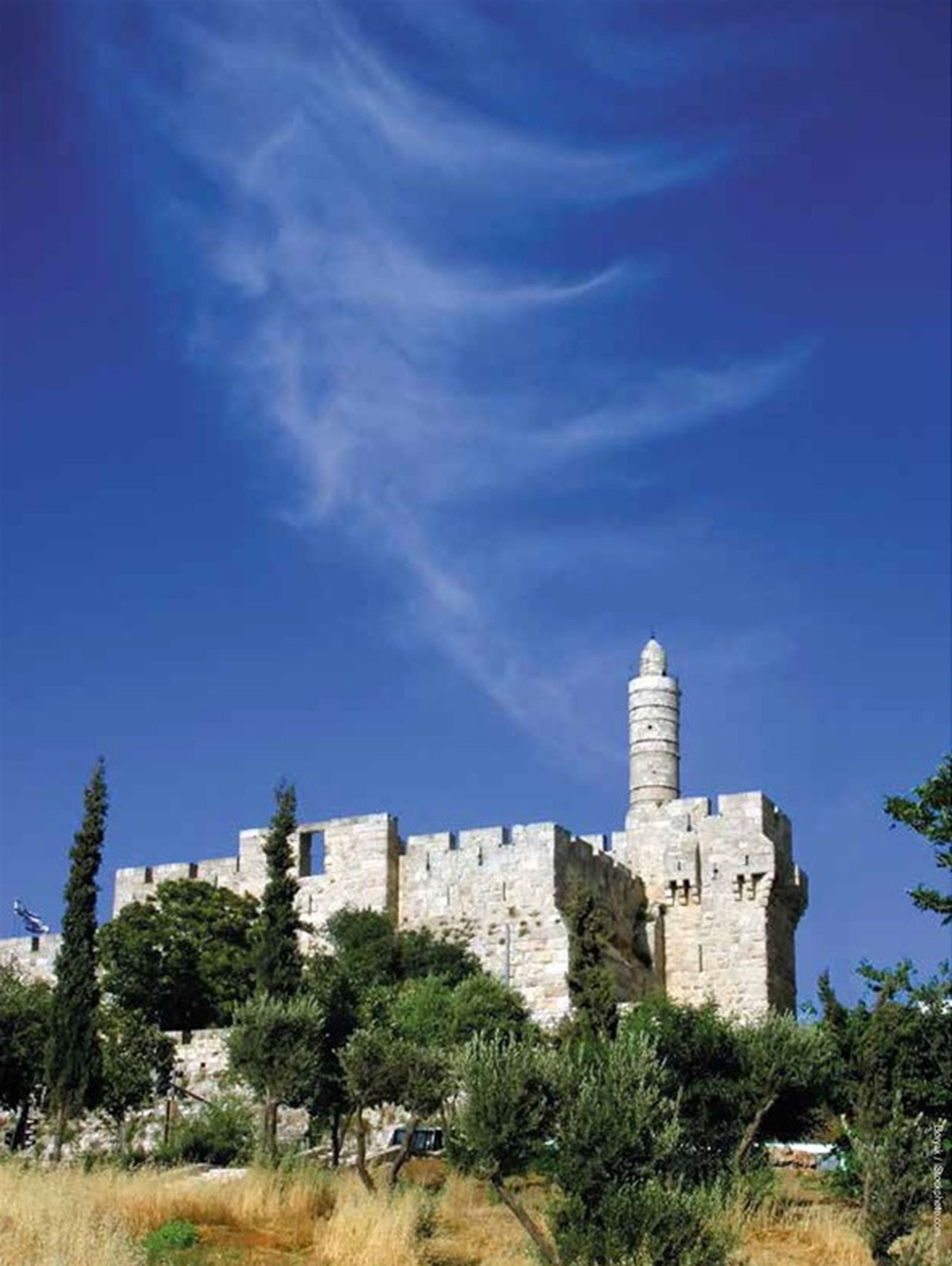 Devarim – UJR-AmLat